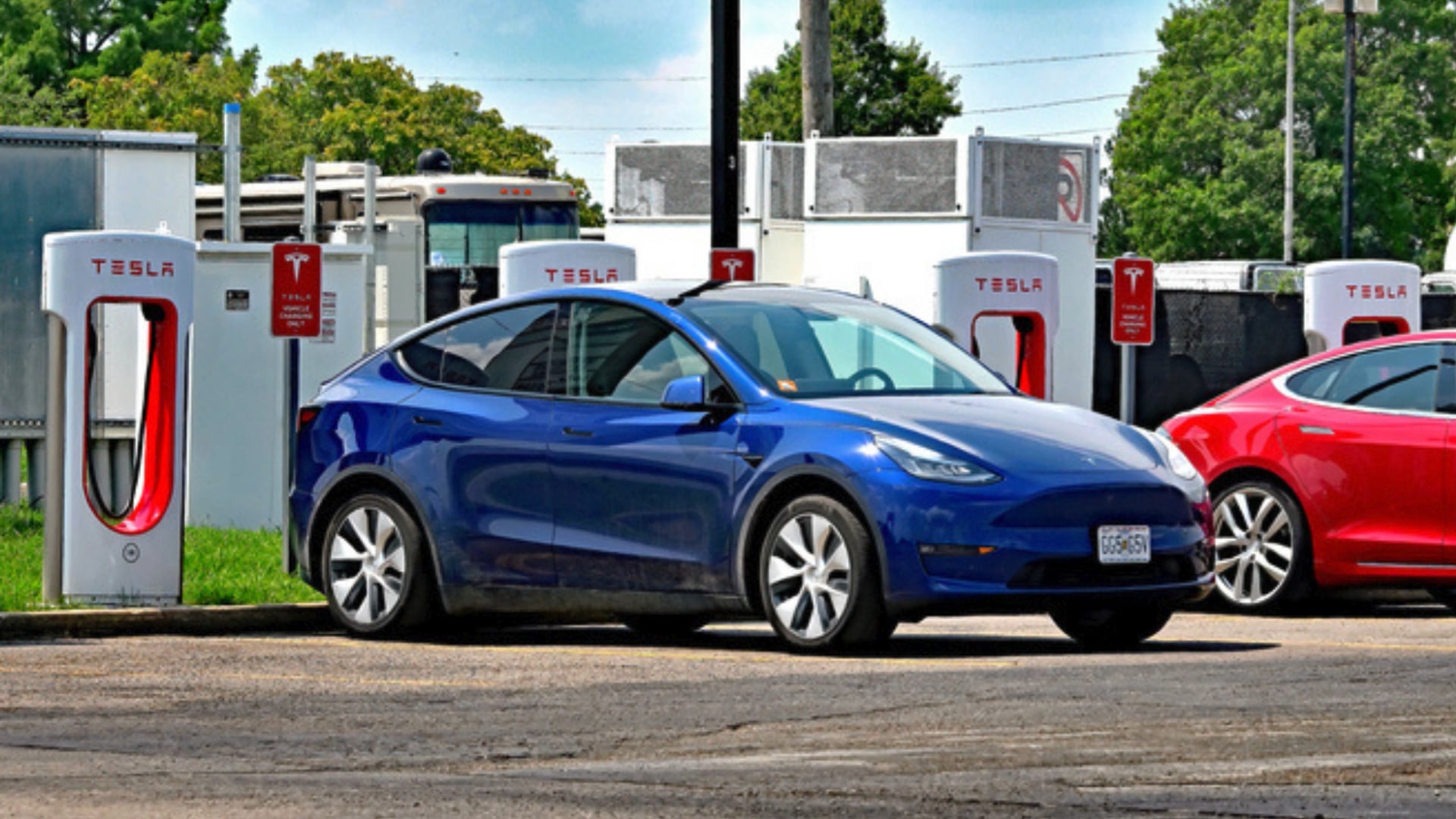 Blue Tesla Model Y loses half its value in just 5 years