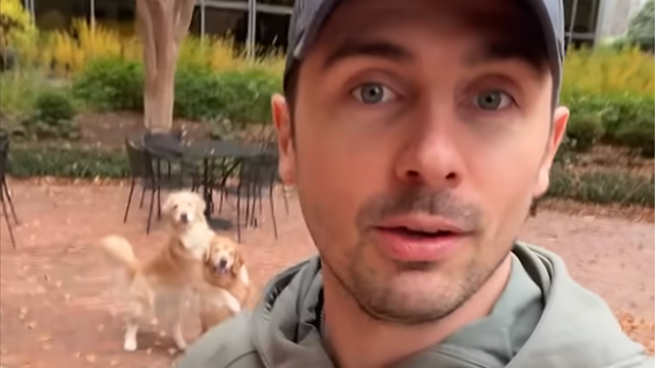 Dog group selfie attempt: Wish me luck