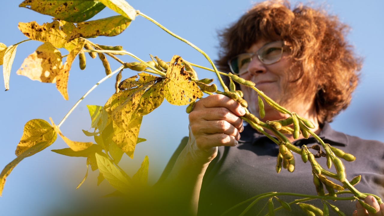 China boycotts US soybeans, Minnesota farms near collapse?