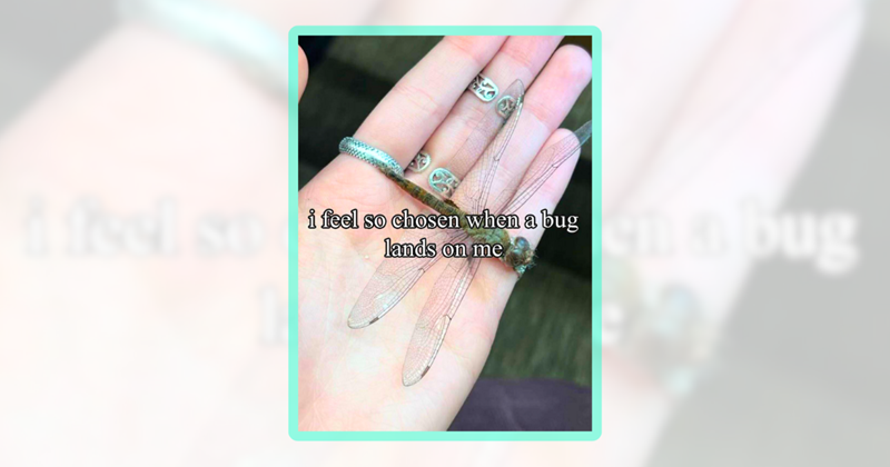 26 buzzy and beautiful bug memes to pollinate your day with positivity