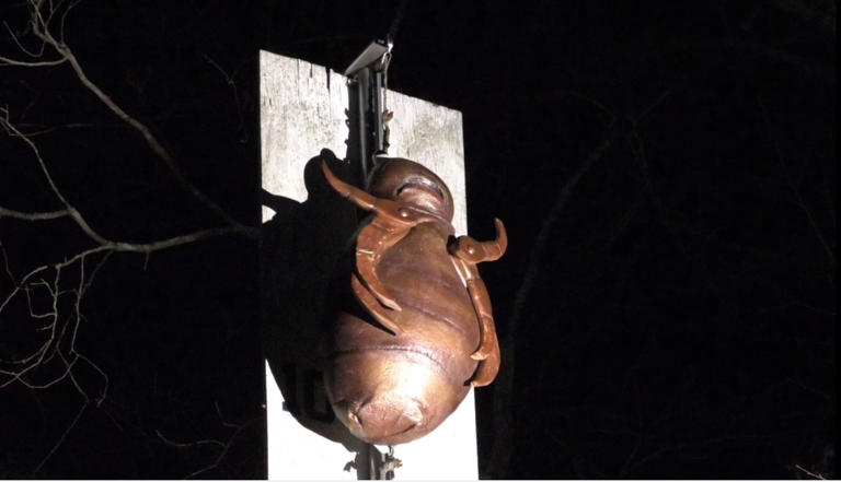 New Year's Eve wild and unique celebrations you'll only in North Carolina