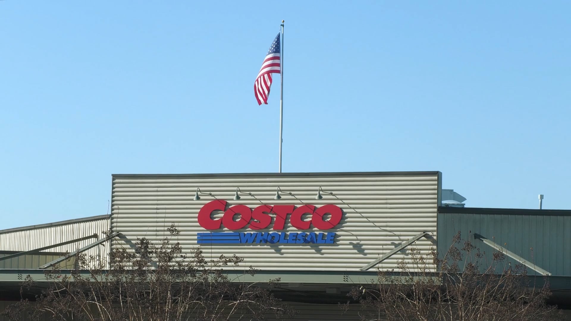 Molly Fischer's Costco investigation reveals growing gap between ...