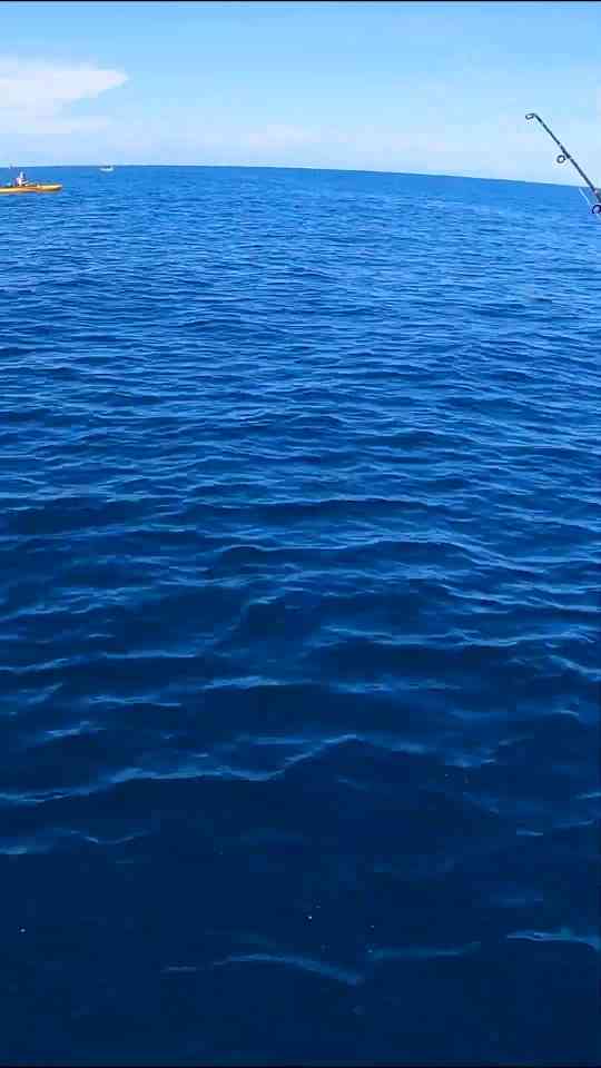 Girl Gets Spooled By A Monster Fish!