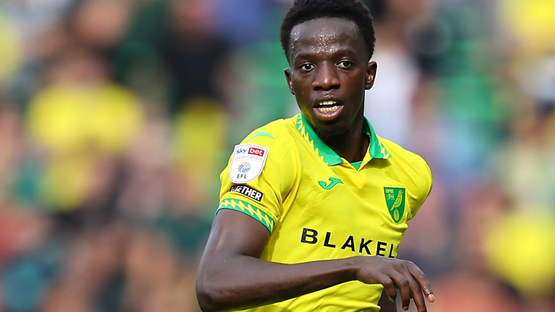 Diallo return will be like 'new signing' for Norwich