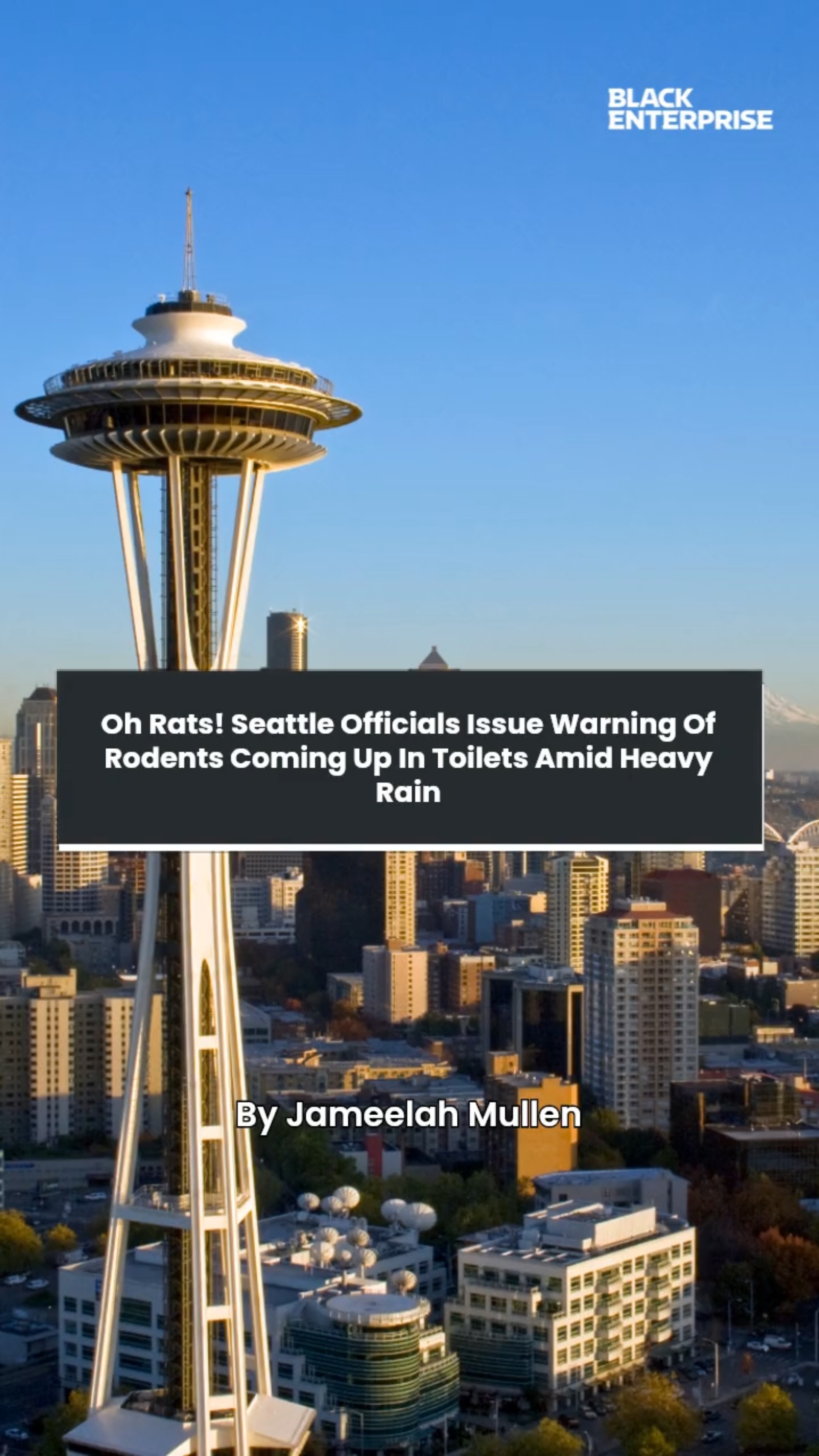 Oh rats! Seattle officials issue warning of rodents coming up in ...