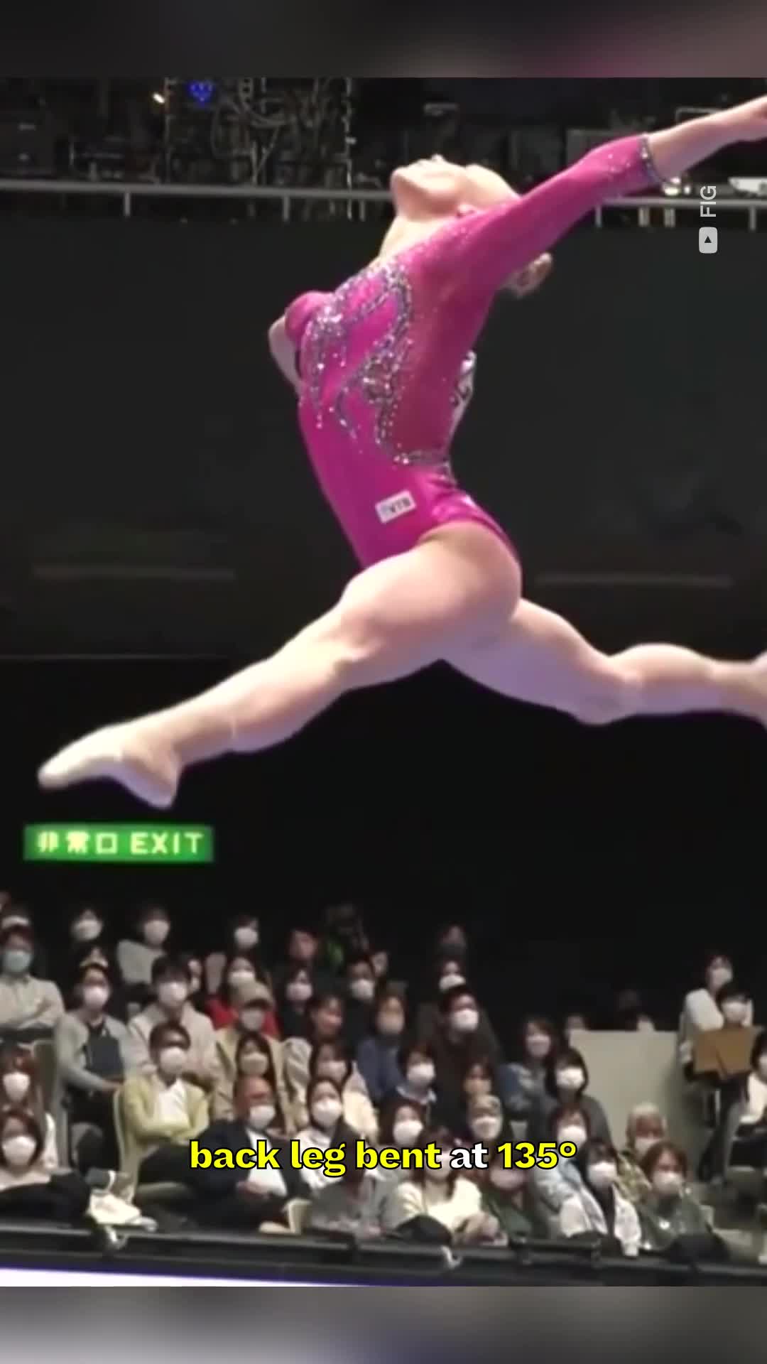 The substitute of the sheep jump #shorts