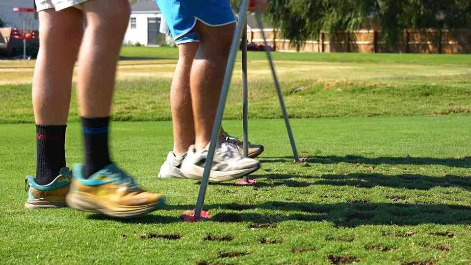 We built a grass block skyscraper