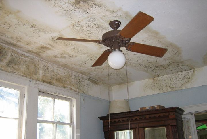 How to combat mold formation in your house