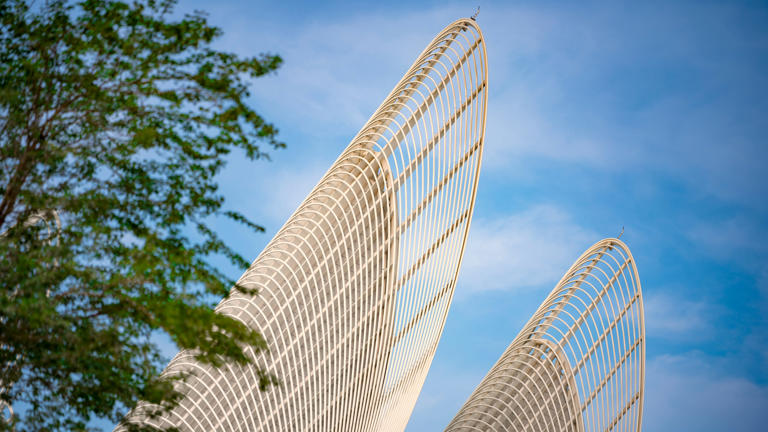 Zayed National Museum launches Quiet Morning, featuring softer lighting ...