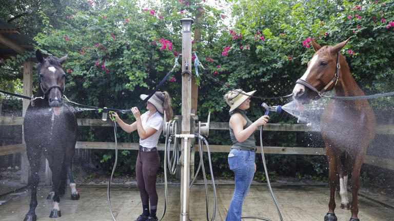 5 times Florida weather got weird in 2025