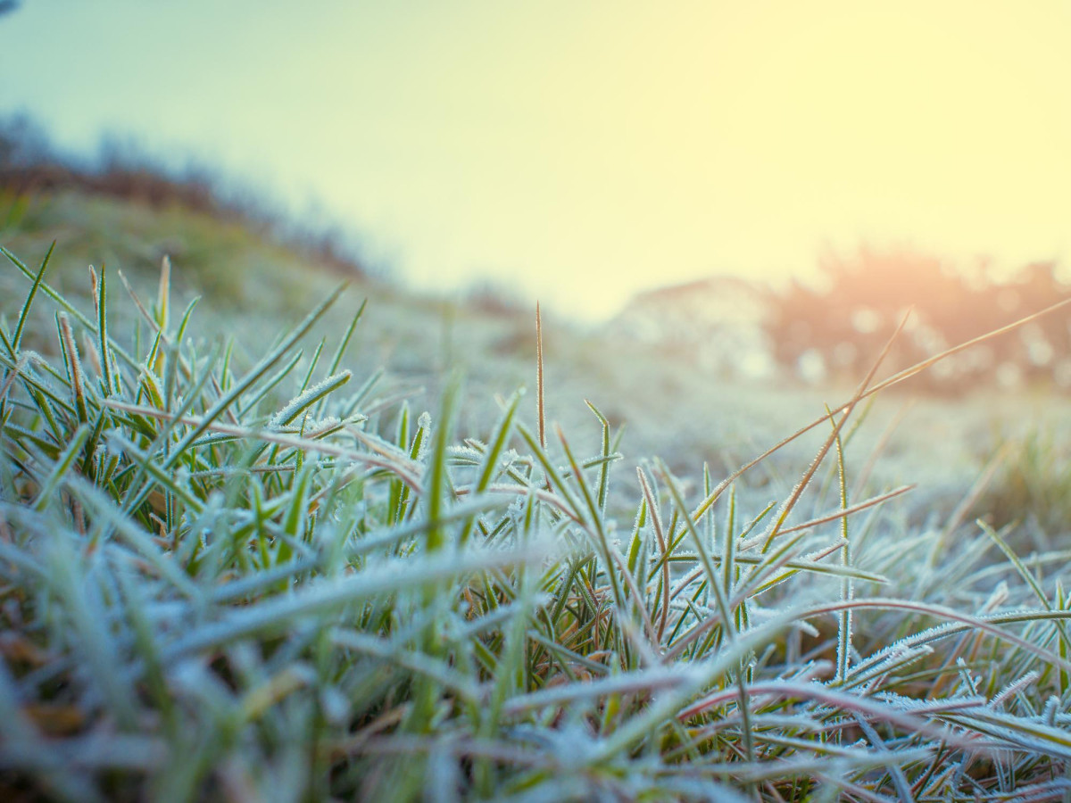 Météo Nouvel An : froid intense, gel et brouillard givrant pour le ...