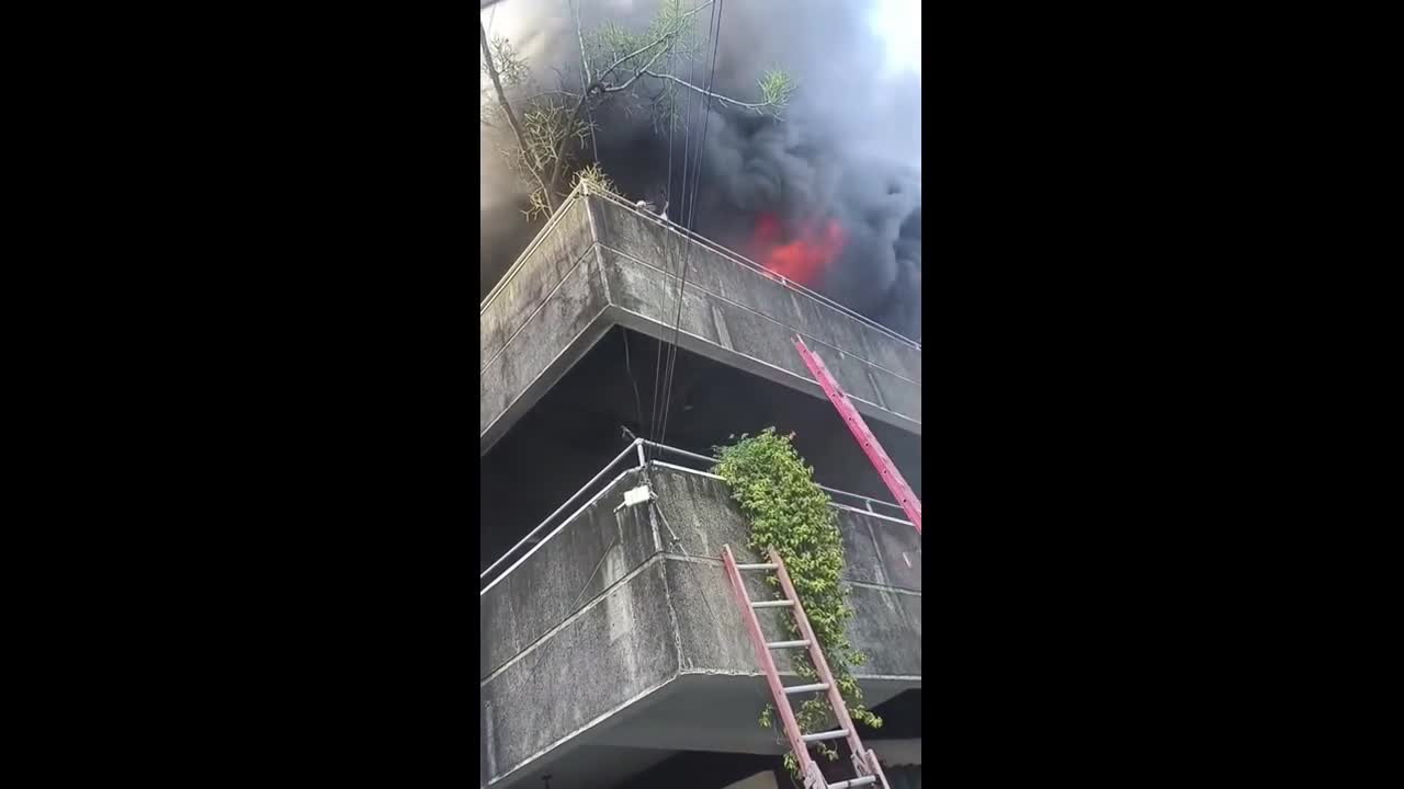 Woman rescues dogs from building fire in Mandaue, Cebu, Philippines
