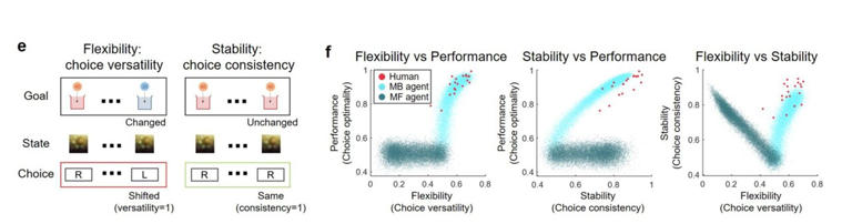Brain-inspired AI: Human brain separates goals and uncertainty to ...