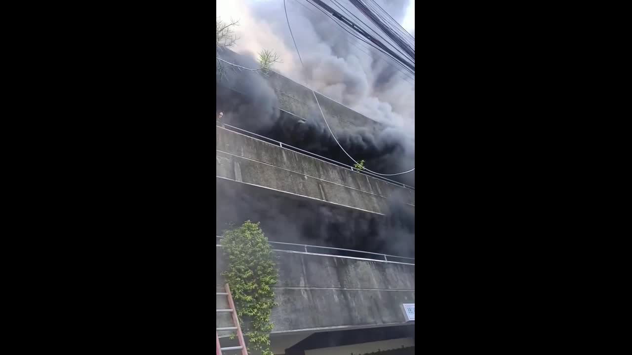 Woman rescues dogs from building fire in Mandaue, Cebu, Philippines