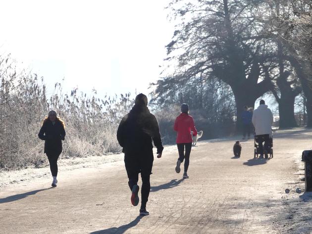 Warum 80 Prozent der Neujahrsvorsätze schon im Januar scheitern
