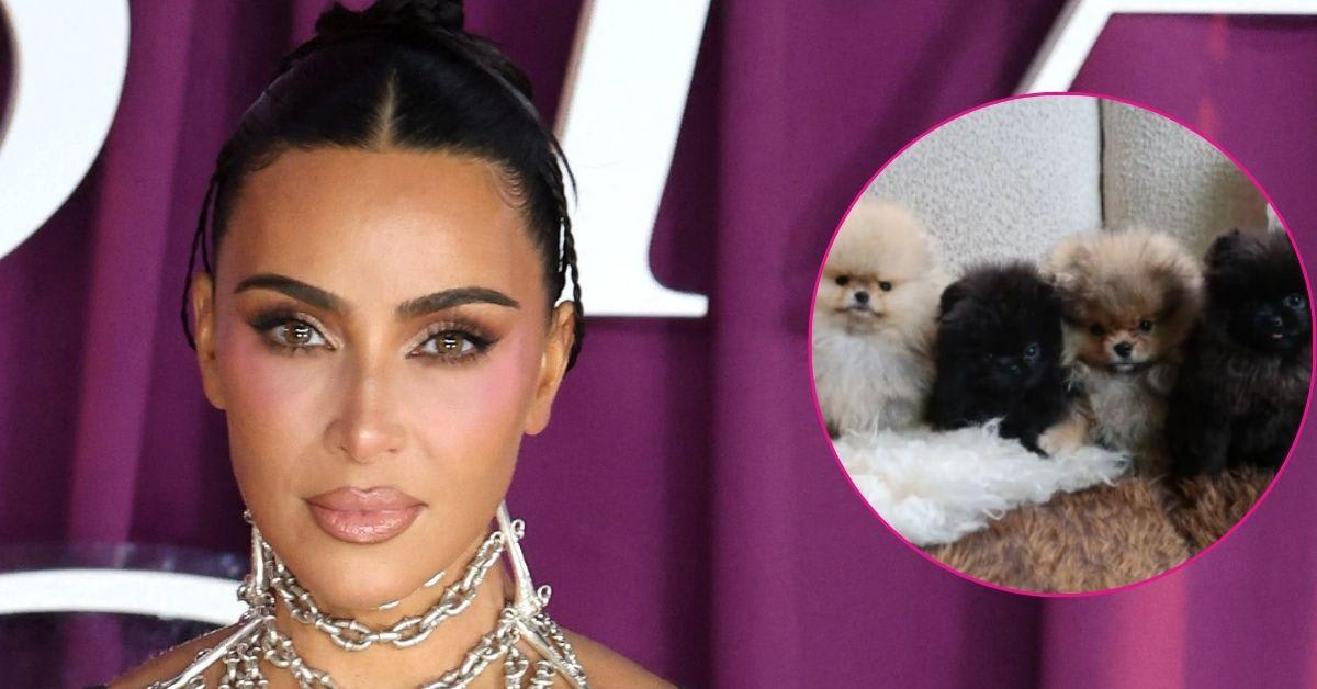 Kim Kardashian called out by PETA for gifting her kids 4 dogs for ...