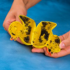 New year new house! Get rid of nasty rust, limescale and mold with ...