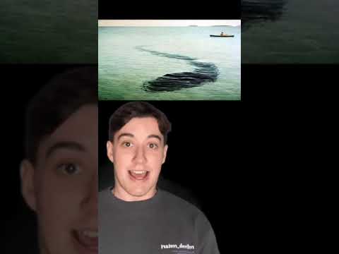 Unexplained photographs that have since been analyzed and solved