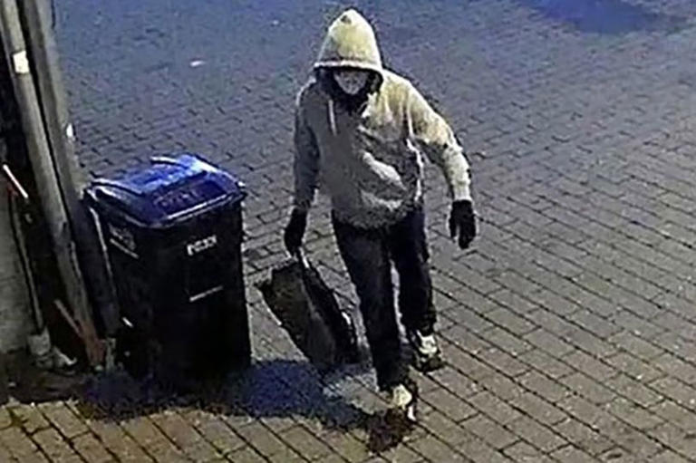 DC pipe bomb suspect Brian Cole Jr. seeks release citing autism diagnosis