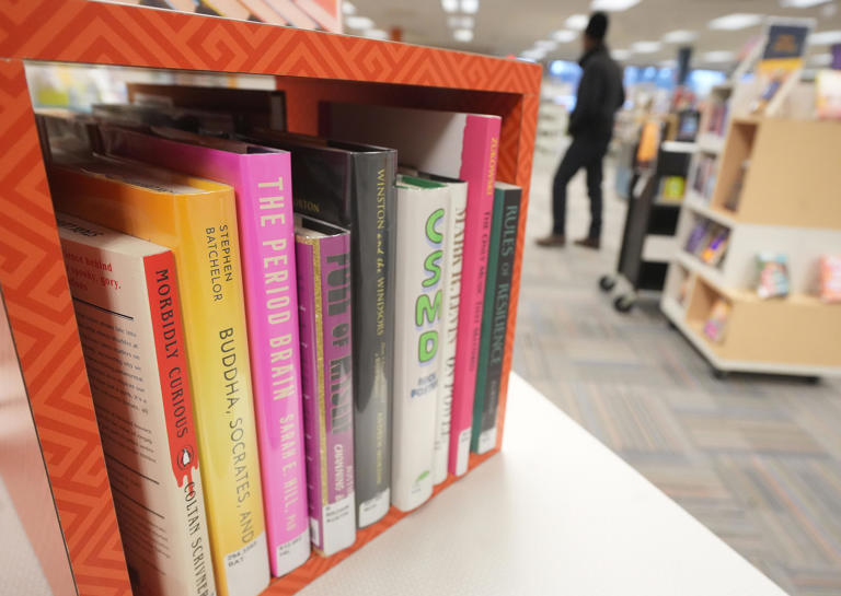 Thrillers, romance and more: Here's what Stark County read in 2025