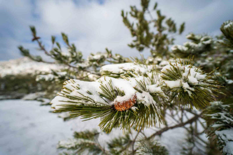 Spil Dağı beyaz gelinliğini giydi
