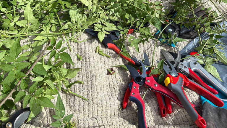 I’ll be using these 3 products to refresh my garden tools for 2026