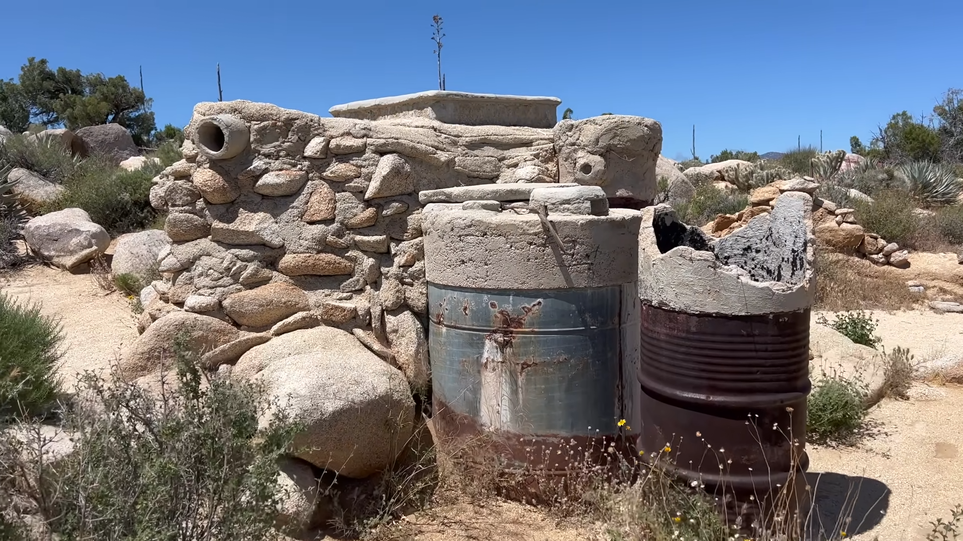 “This was my escape” - Why Marshal South walked away from civilization