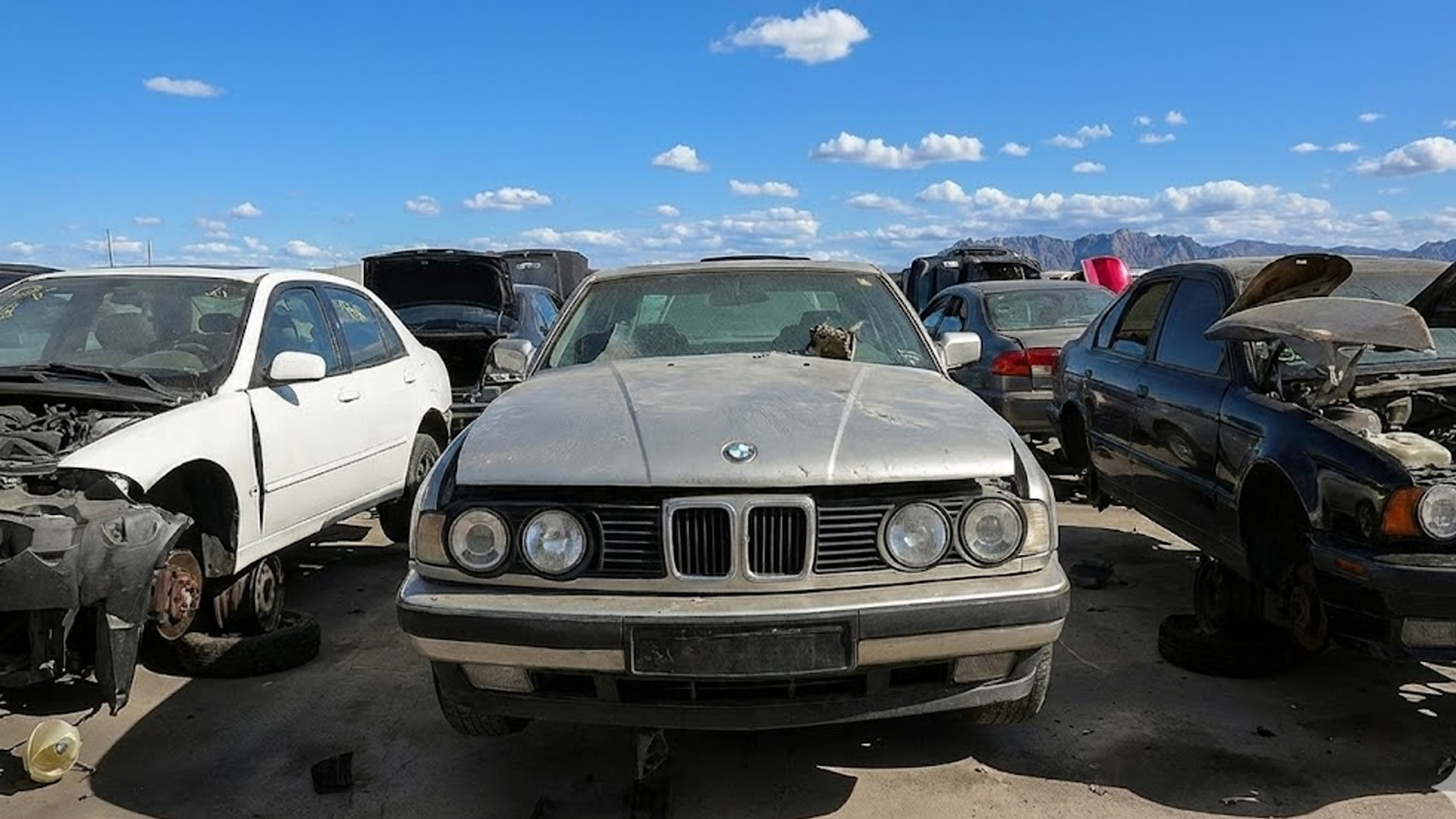 What we found hidden in a Nevada car junkyard
