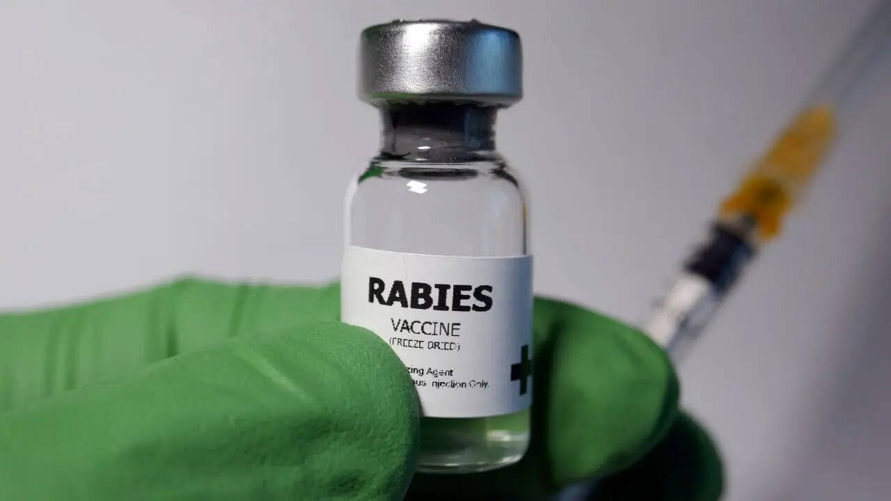 Rabies scare in Uttar Pradesh: Nearly 200 villagers get vaccinated ...