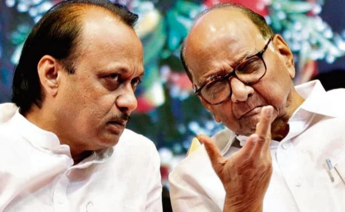 Pawar family reunites for Pune civic polls: "Only because workers ...