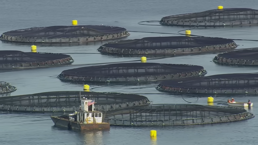 How shrinking water levels threaten the Great Salt Lake