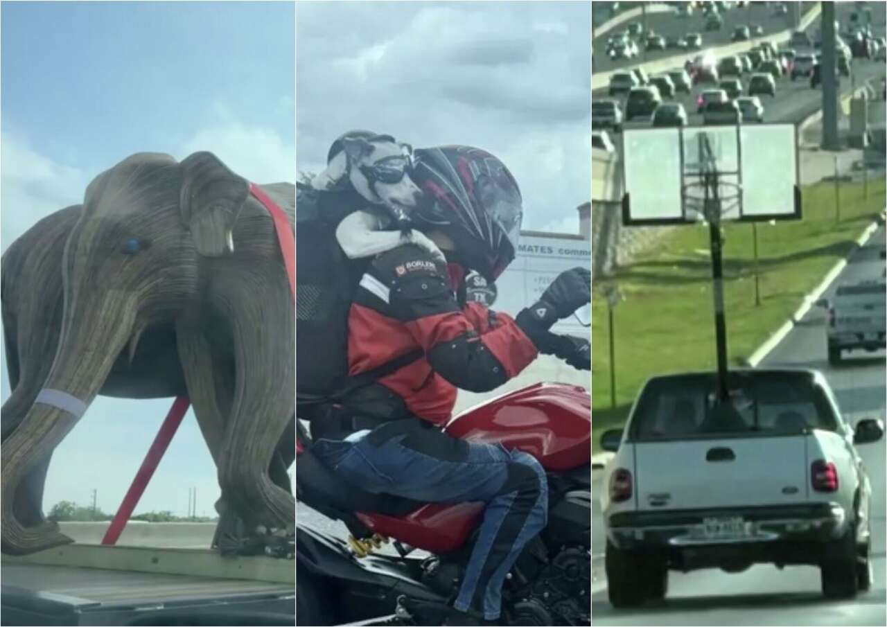 Rule No. 1 in San Antonio? Expect to see some weird stuff on the highway