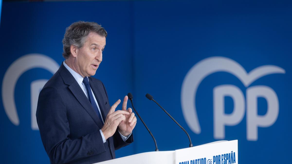 Estas son las 10 razones por las que Feijóo acusa a Sánchez de haber ...