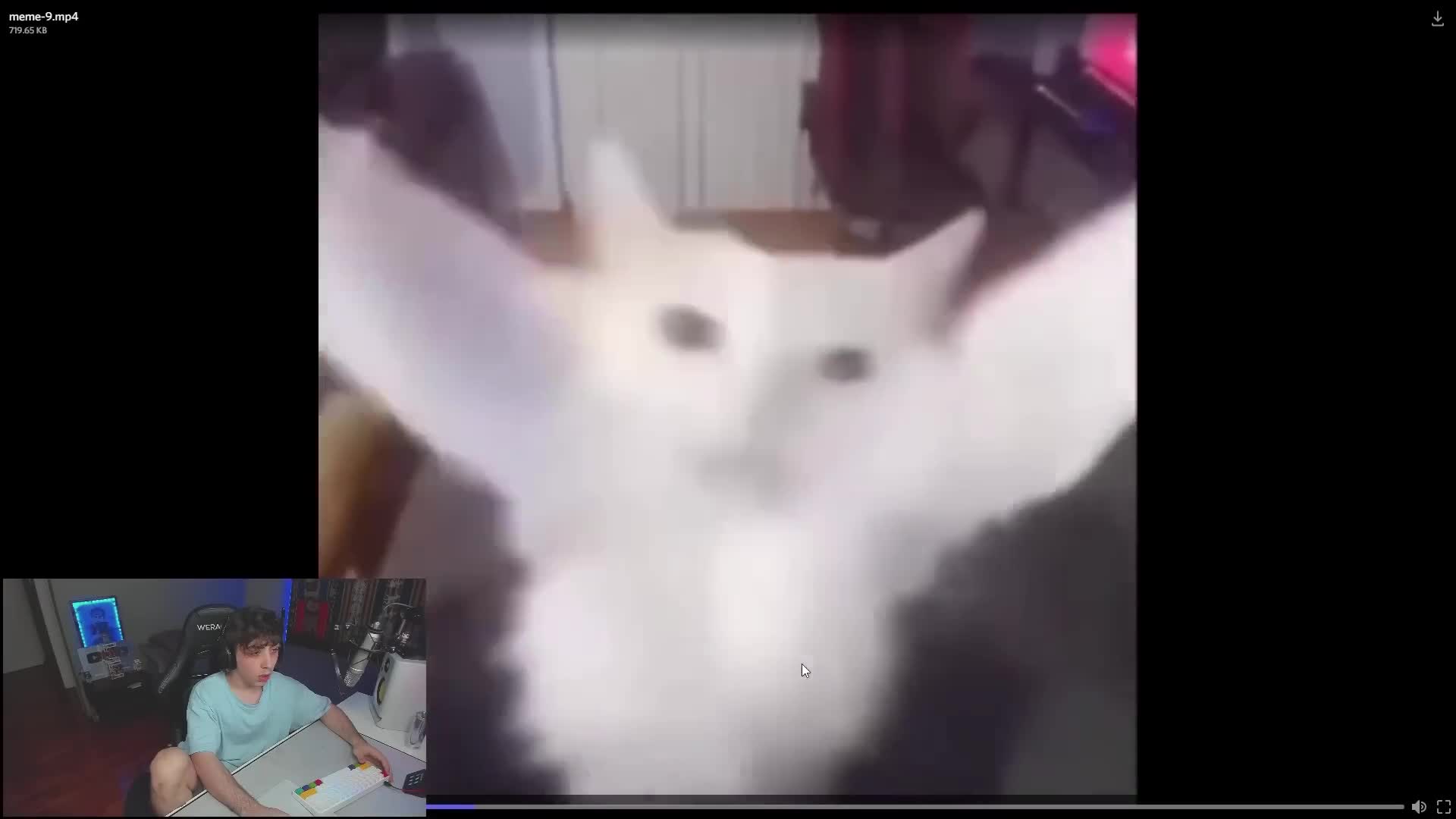 Mis subs me mandan memes por discord #2 😃