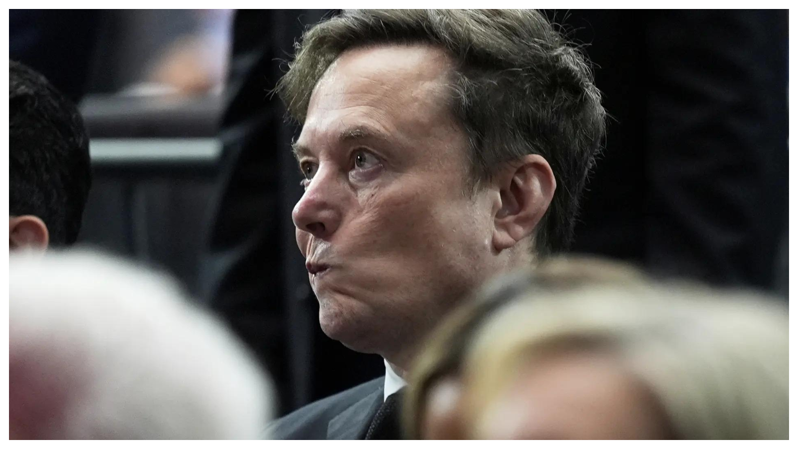 This is biggest fraud in history by far, says Elon Musk
