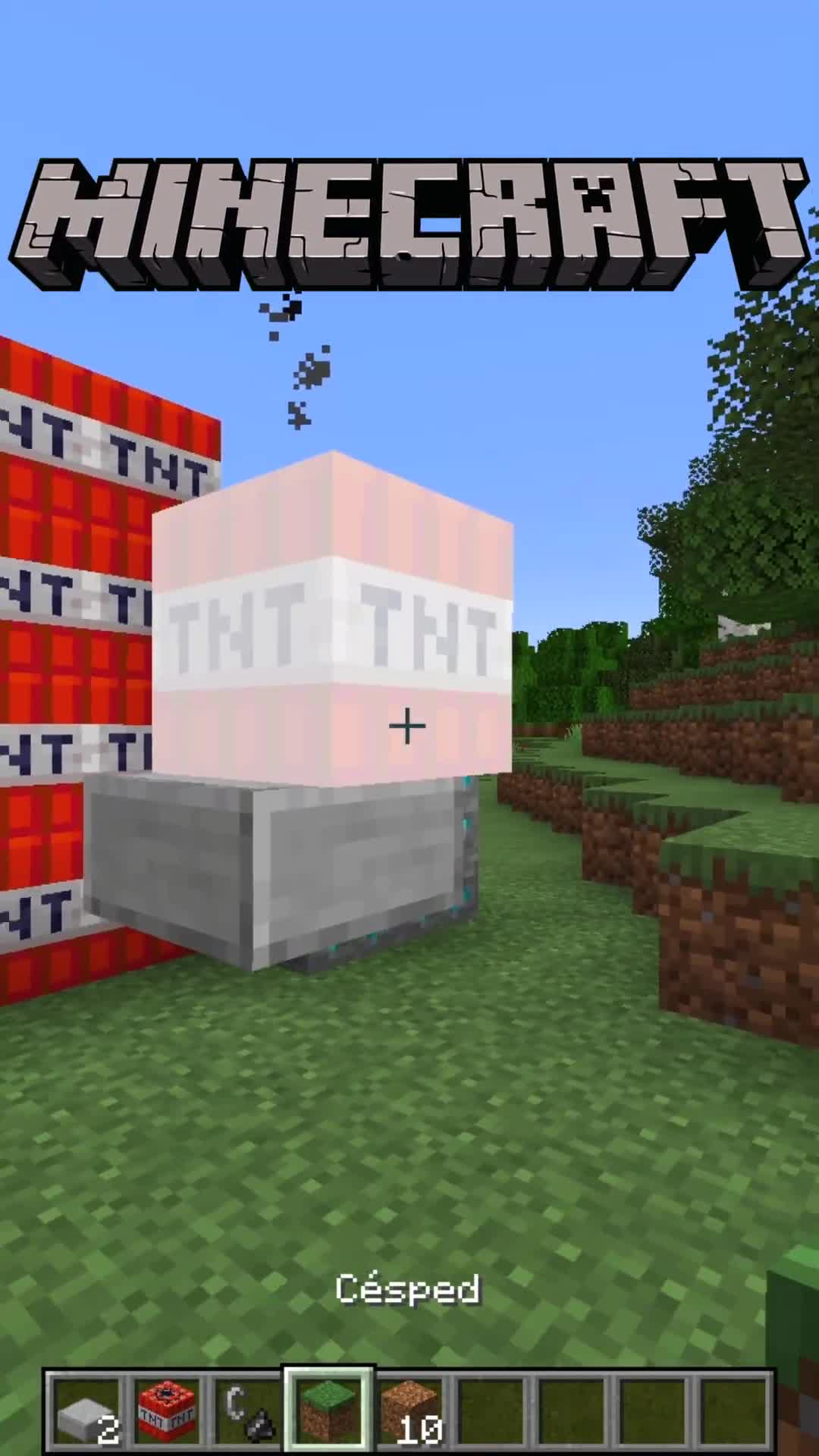 Cosas QUE NO SABIAS SOBRE Minecraft #102