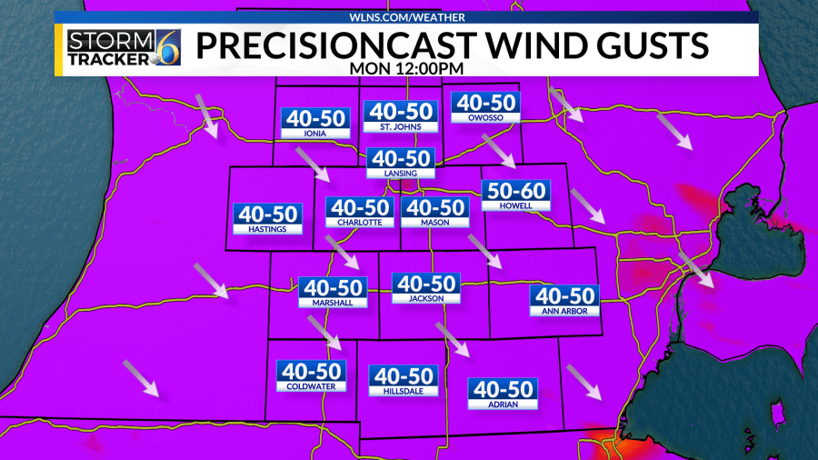 Winds lead to power outages in Mid-Michigan