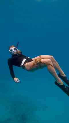 What it means when an octopus latches on