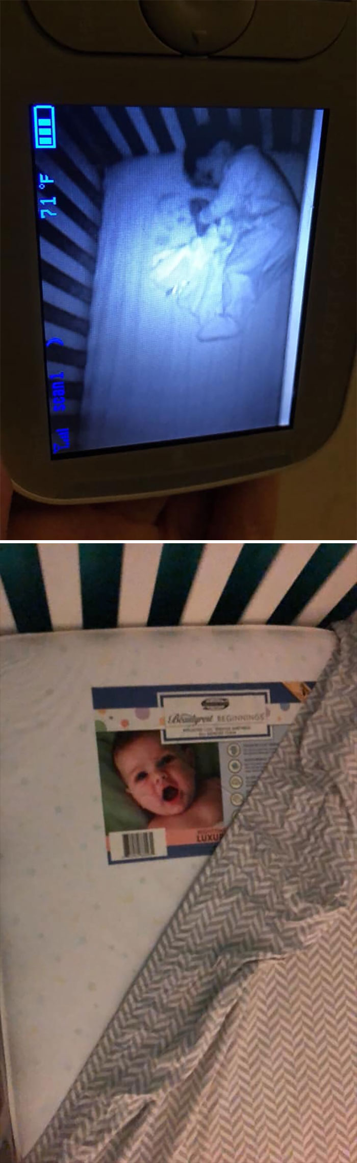 21 times innocent things almost gave people a heart attack