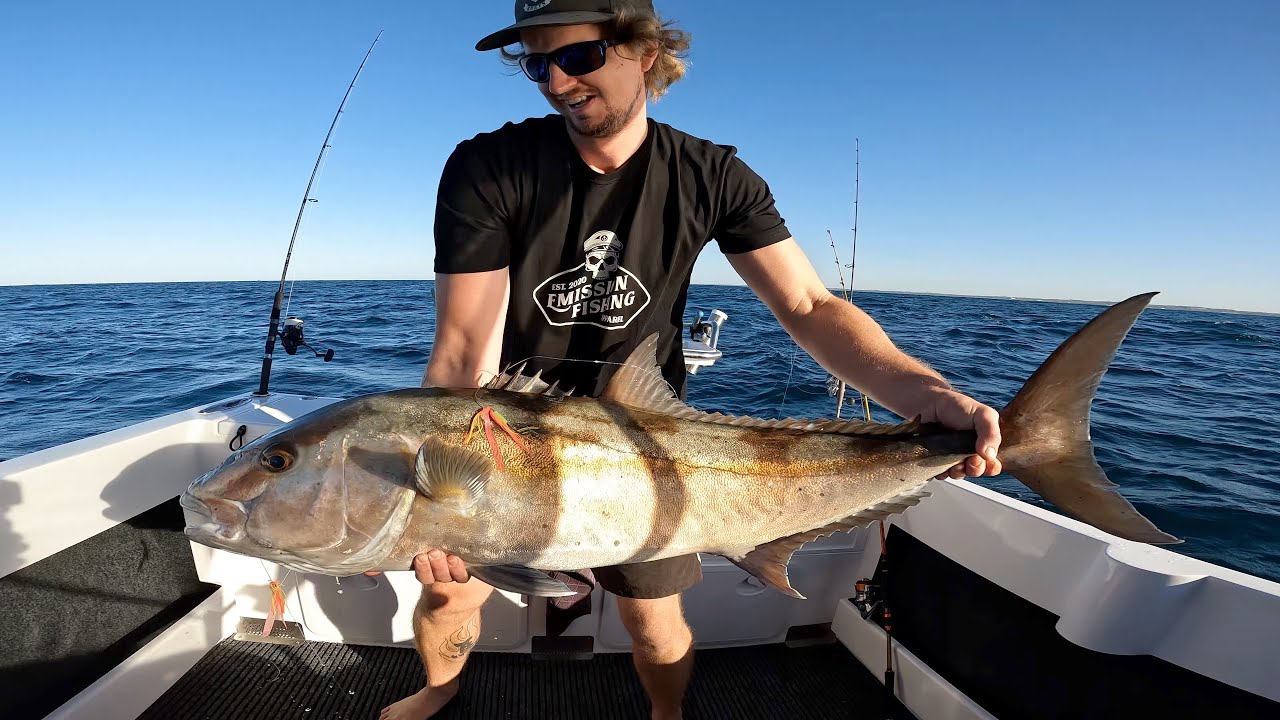 Grazing platter of baits vs real ocean monsters