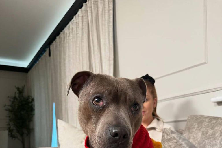 Gogglebox star supported by fans after 'special' family update