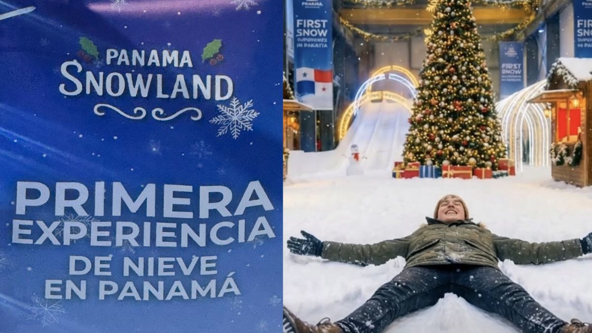 ¡Decepcionante! Evento navideño 'Snowland' se vuelve viral tras ...