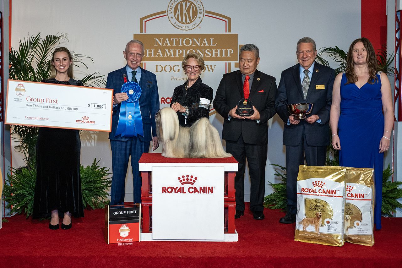JJ the Lhasa Apso wins best in show at the 2025 AKC National Championship