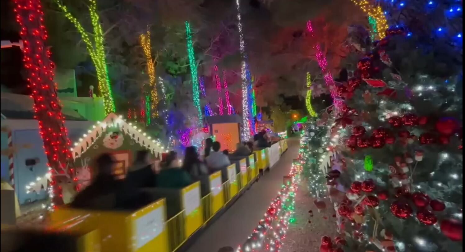 Magical Forest draws record crowds in 33rd year supporting people with ...