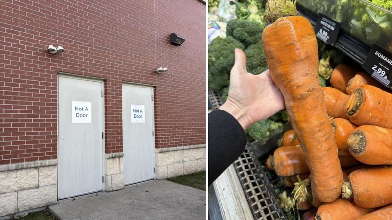 Gander at the mildly interesting things in life