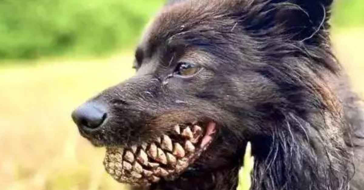 Scary photos that are only terrifying at first glance