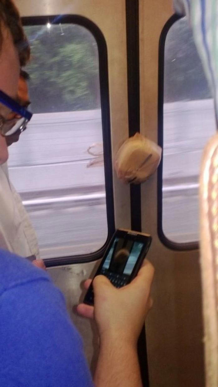 41 Funny and Strange Things Spotted on the Subway