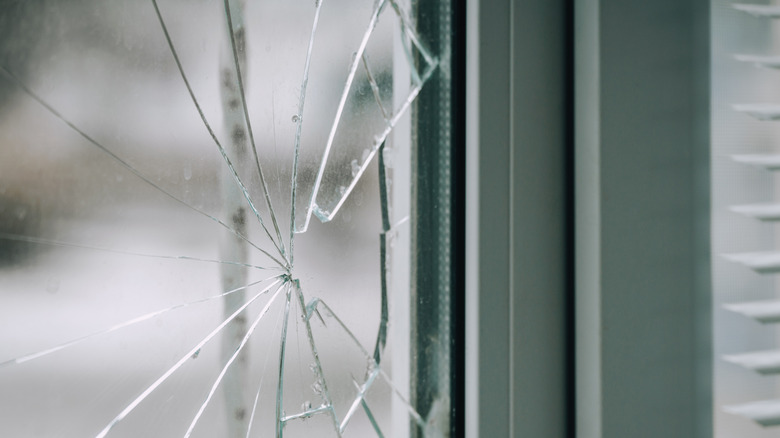 Broken window? Here's what you need to do next