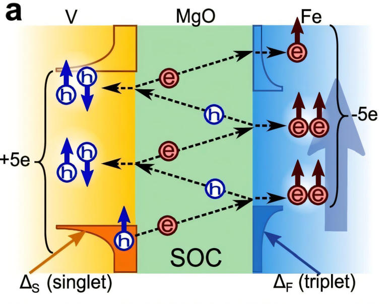 Josephson junction behavior observed with only one superconductor and ...