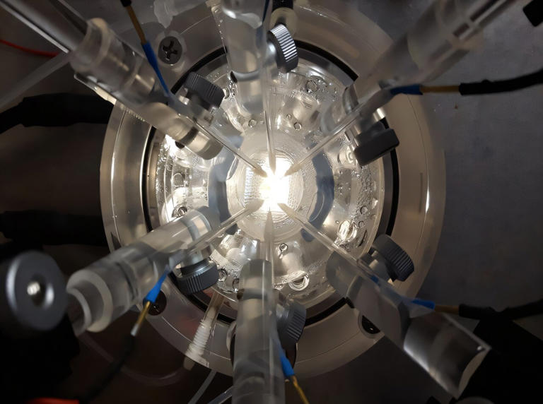 Naturally occurring molecule shown to restore memory function in ...